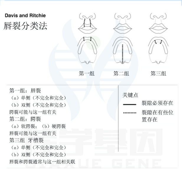 【佳学基因检测】唇裂不同分类命名系统的比较与统一-佳学基因官网：基因检测 | 基因解码 | 遗传病 | 肿瘤靶向药物 | 阻断 | 北京 | 公司